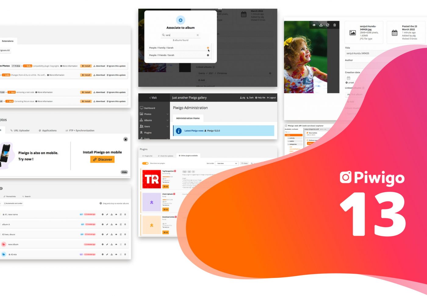 The Piwigo.com blog - Tips for managing your image library